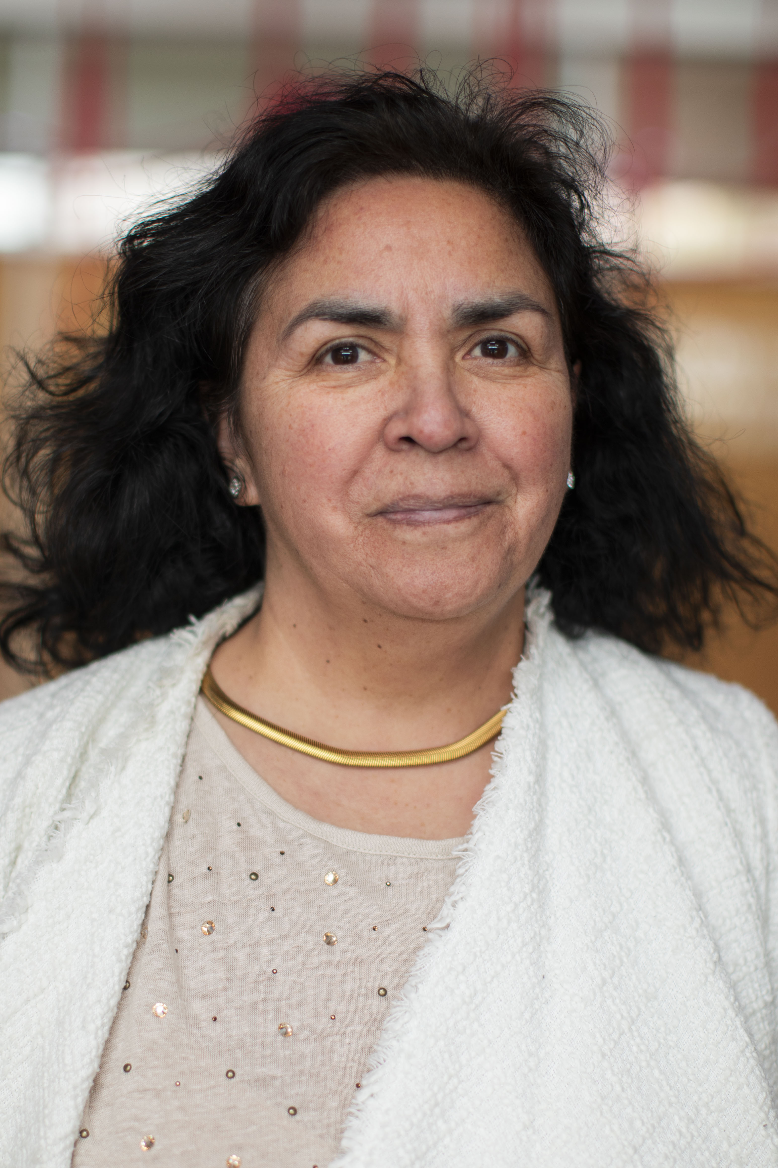 Universidad de Magallanes - Estatuto Universitario